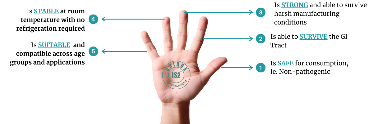 5S Model – Unique IS2